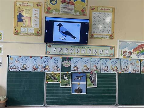 День Птахів