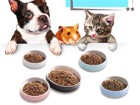 Badu Bg Керамична купа за домашни любимци в различни размери Badu Bg