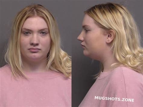 DAVIS HALEY ANN Saline County Mugshots Zone