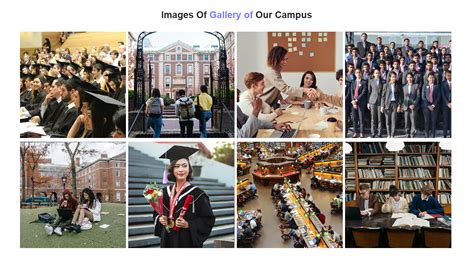 Design School College Website Using Html Css With Source Code