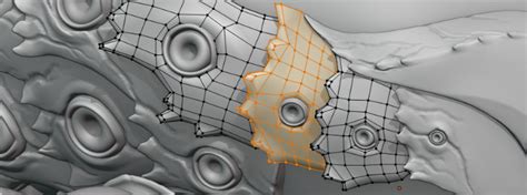 Blender 2 92 Reference Manual Blender Manual