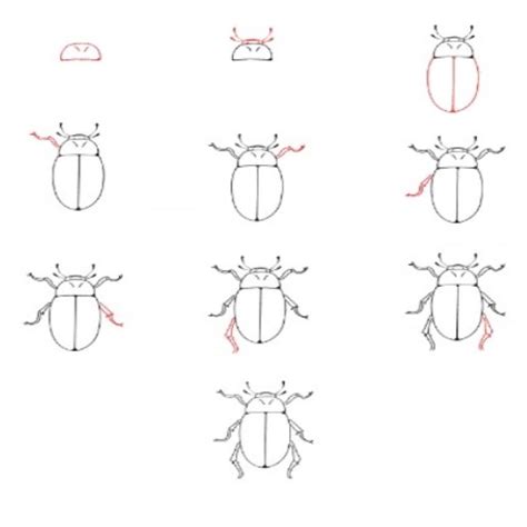 20 Easy Beetles Drawing Ideas Drawing Photos