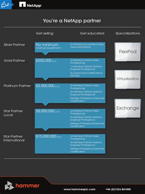 netapp partner levels pdf engineering business