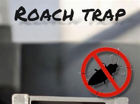 Roach Trap By Armania3d Makerworld Download Free 3d Models