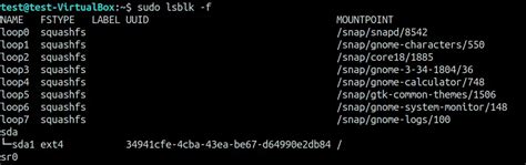 How To Get The List Of Mounted Filesystems In Linux Delft Stack