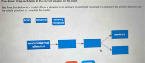 Solved Directions Drag Each Label To The Correct Location On The Chart The Flowchart Below Is