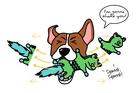 Understanding The Predatory Motor Pattern In Domestic Dogs Rebarkable