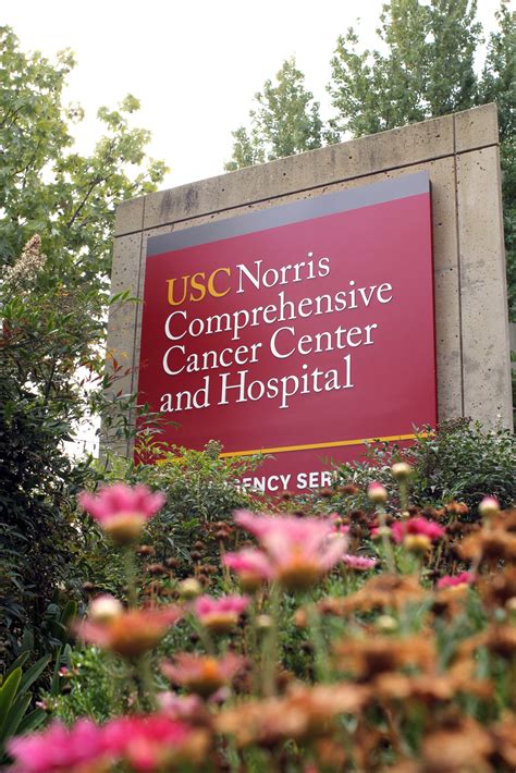 News At Usc Norris Usc Norris Comprehensive Cancer Center