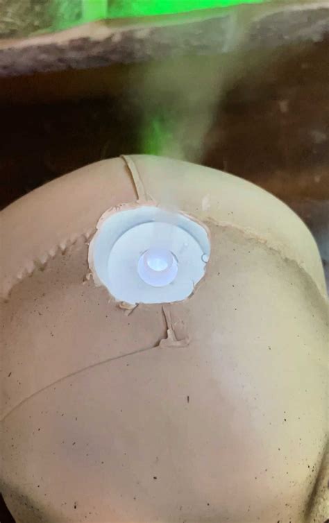 Diy Plastic Skull Essential Oil Diffuser Crafty Little Gnome