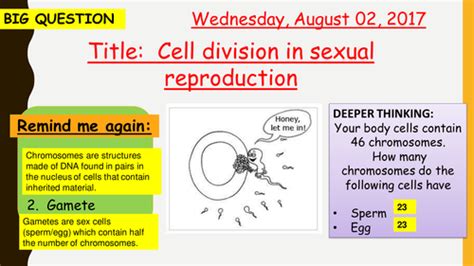Aqa New Specification Cell Division In Sexual Reproduction Meiosis B13 2 Teaching Resources