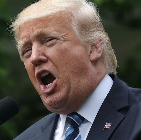 Trader Joes List Meet The Grocery Influencers Of Instagram Vox