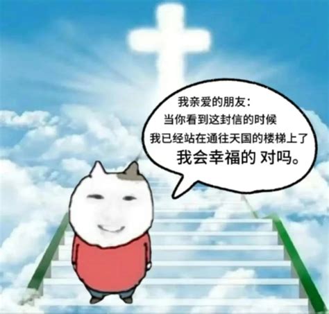 最新sakuya梗图 不想上班上学表情包合集 《猫咪站在天国楼梯上，暖心留言 我会幸福的对吗”》表情包图片动图 求表情网斗图从此不求人