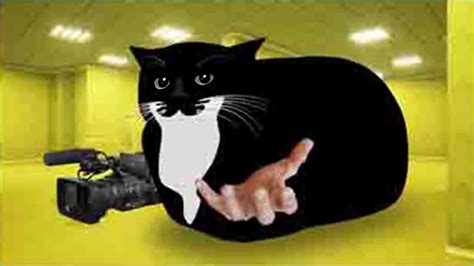Maxwell The Cat In Backrooms Youtube