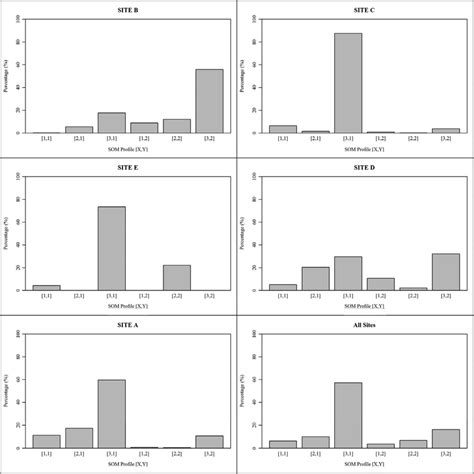 a barplot illustrating the frequency distribution of hourly pm size