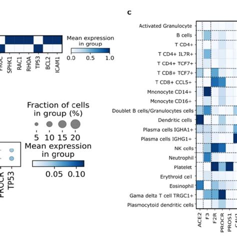 Expression Of Genes Involved In Activated Protein C Apc Signaling In Download Scientific