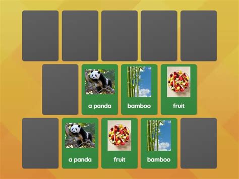 p1 3 amazing pandas vocabulary matching pairs