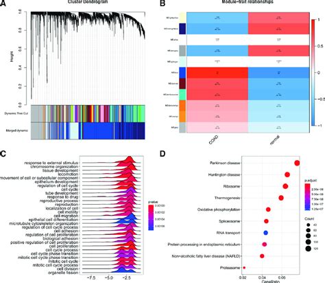 Wgcna Is Applied To Analyze Gene Modules A Cluster Dendrogram Of The