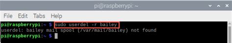 How To Add And Delete Users On Your Raspberry Pi