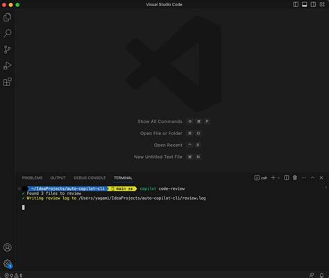 I Wrote A Cli Tool That Can Do Code Review With Openai So Far Its