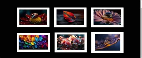 Rashmi Kalsariya On Linkedin Webdesign Cssmagic Htmlcraftsmanship