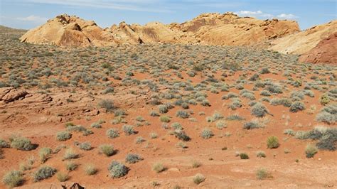 레인보우 Vista 트레일 레드 바위 지형 밸리 오브 파이어 네바다 0명에 대한 스톡 사진 및 기타 이미지 0명 개척시대의 서부 네바다 Istock