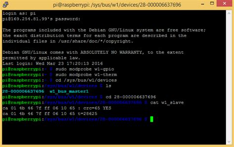 Raspberry Pi Ds18b20 Temperature Sensor Tutorial Circuit Basics