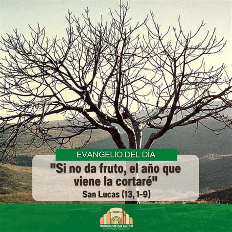 Parroquia San Juan Bautista, Cojutepeque - Oficial - Evangelio del día sábado 22 de octubre del ...