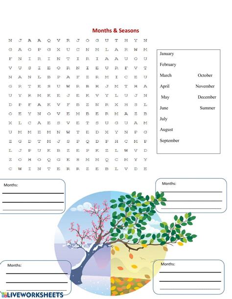 Months And Seasons Free Interactive Worksheets 68333