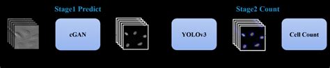 The Framework Of The Cgan Yolo Method Cgan Yolo Is Achieved By