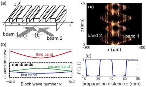 a binary waveguide array used for observing quantum interference of