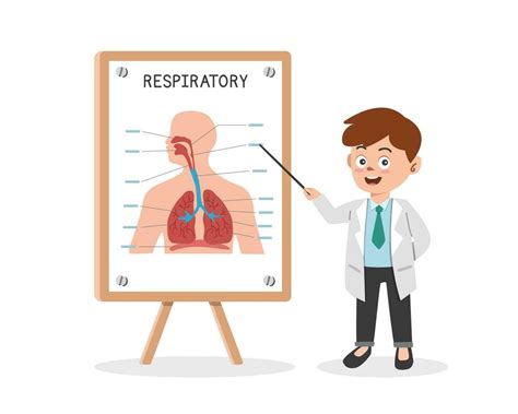 Respiratorio Sistema Clipart Dibujos Animados Estilo Médico