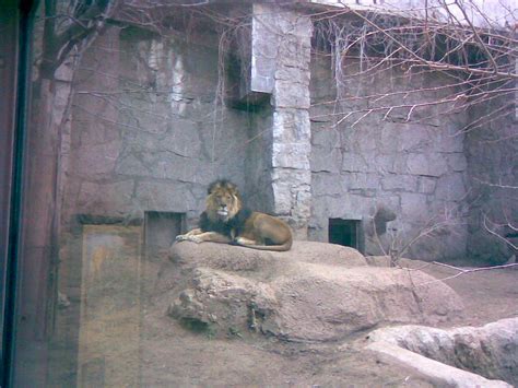 Lion Unhandledexception And Krash Flickr