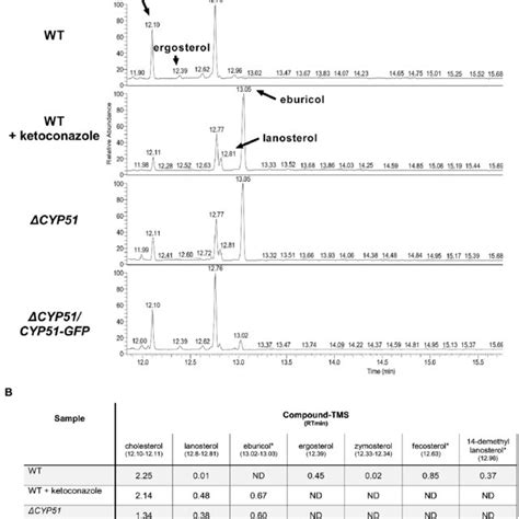A GC MS Chromatogram Of Sterols Derived From The Indicated Parasite Download Scientific