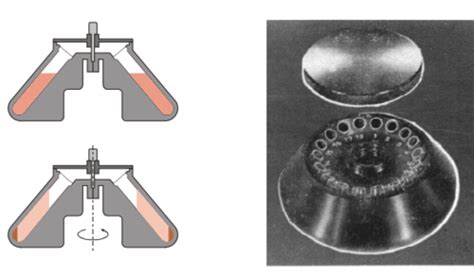 Proper Centrifuge Use Flashcards Quizlet