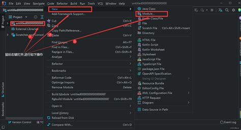 Idea202133的安装方式以及使用方法 （intellij Idea 常用设置2 优化编写体验、界面ui设置、大小写区分、自动优化导包