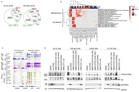 Combined Bet And Ezh2 Inhibition Synergizes To Downregulate Cell Download Scientific Diagram