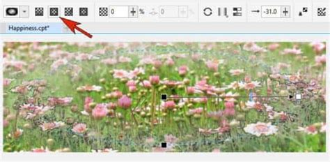 Using The Transparency Tool In PHOTO PAINT Corel Discovery Center