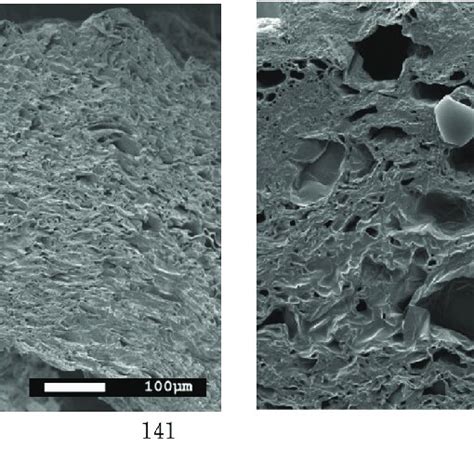 Effect Of Different Drying Temperature On The Microstructure Of