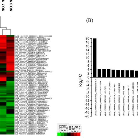 Overview Of Rna Deep Sequencing In Colorectal Cancer Crc Tissues A