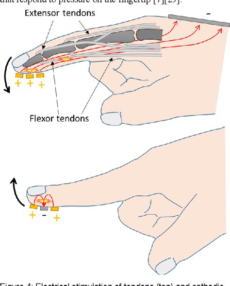 Figure 1 From Effect Of Electrical Stimulation Haptic Feedback On