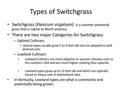 Ppt Types Of Switchgrass Powerpoint Presentation Free Download Id2321147