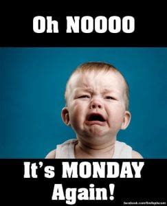 100 Funny Monday Memes To Start Your Week Right