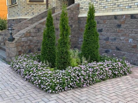 Конструктор композиций из кустарников