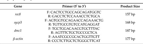 Table 1 From Establishment Of A Spermatogonial Stem Cell Line With