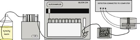 Set Up Used For The Instrumentation In The Fia System With Automated Download Scientific