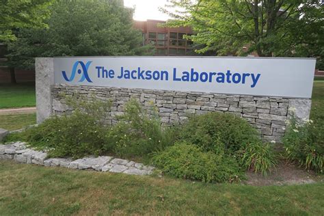 Pre Meeting Of The Card Jax Mouse Reproductive Technology Workshop Nakagata Lab