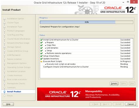 How To Build 12c Rac 4 6 Installing Grid Infrastructure How To Sop