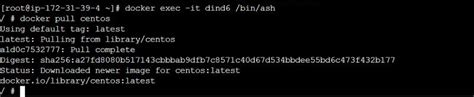 Prudhvi Kumar Danapana On Linkedin Launch A Container In Docker