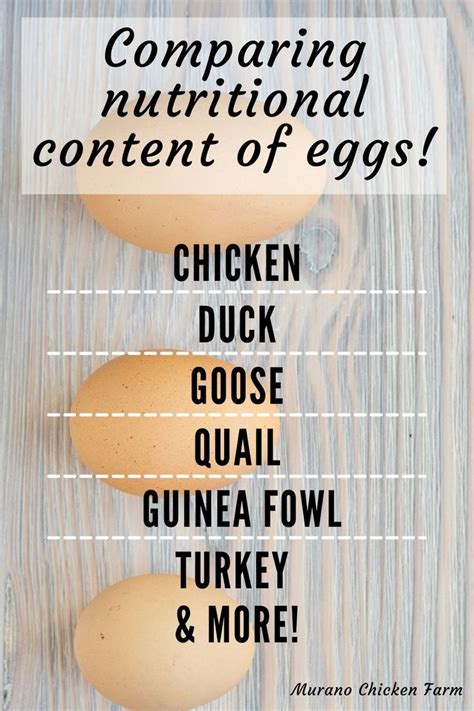 Comparing Different Types Of Eggs Artofit