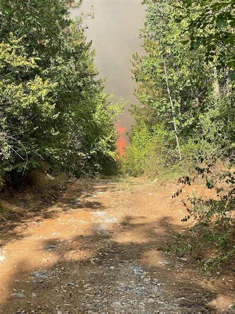 ПИК Tv Пожар вилнее над Стара Загора кметът Живко Тодоров е на мястото СНИМКИ ВИДЕО